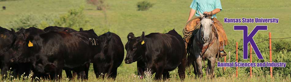 Home | Animal Sciences and Industry | Kansas State University