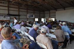 Beef Stocker Field Day