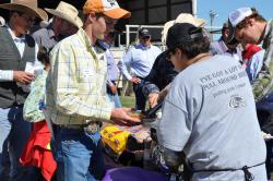Beef Stocker Field Day