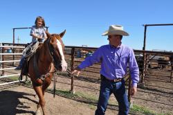 Beef Stocker Field Day